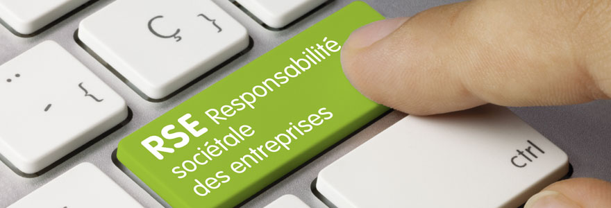 Tout savoir sur les rapports et indicateurs RSE en ligne